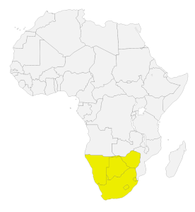 Current time and time zones in South Africa